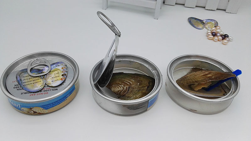Wholesale Canned Genuine Oyster Shell Pearl In Can